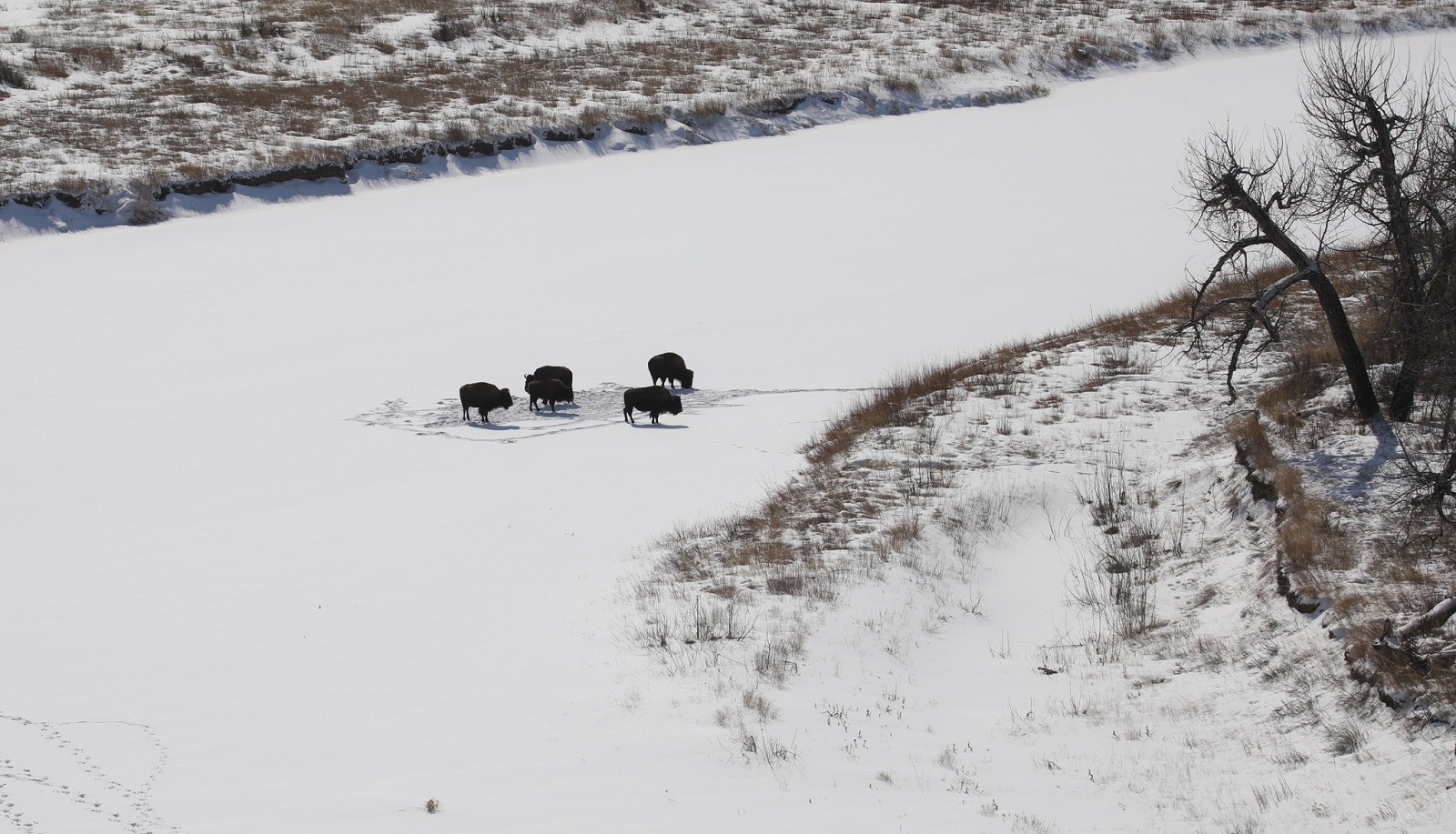 Here are the week's top North Dakota energy stories