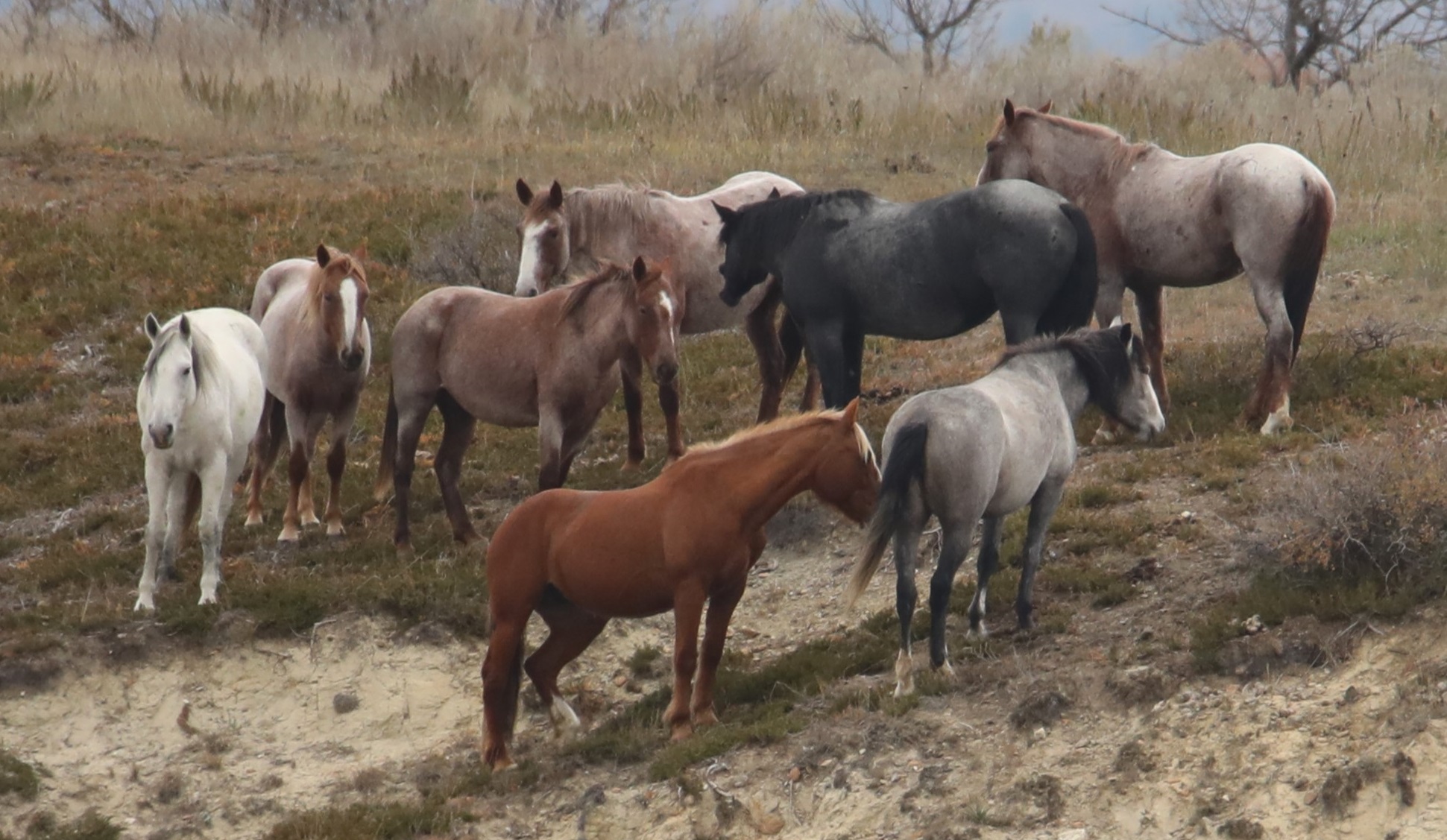 October 27, 2023 Newsletter - WDEA