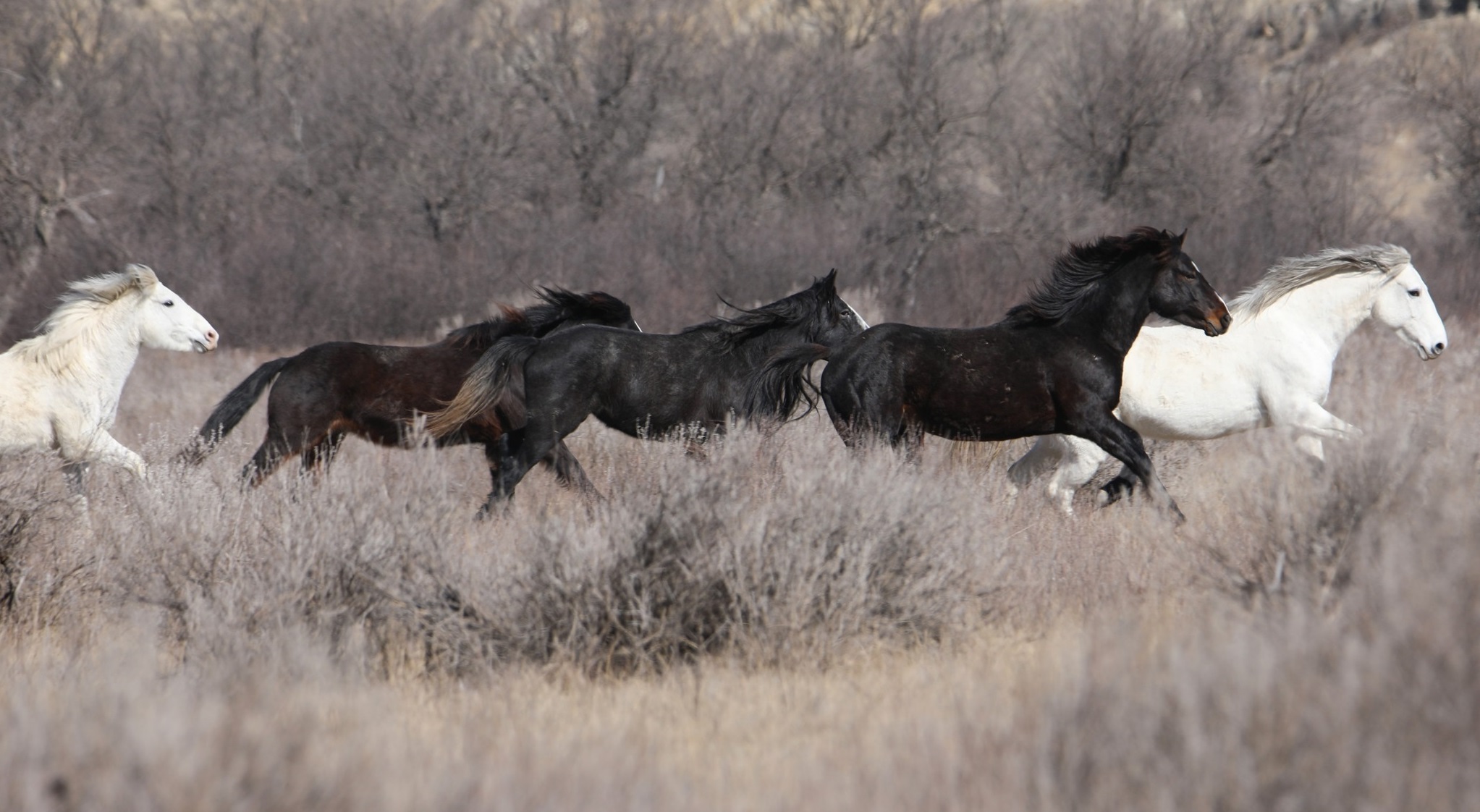 March 22, 2024 Newsletter - WDEA