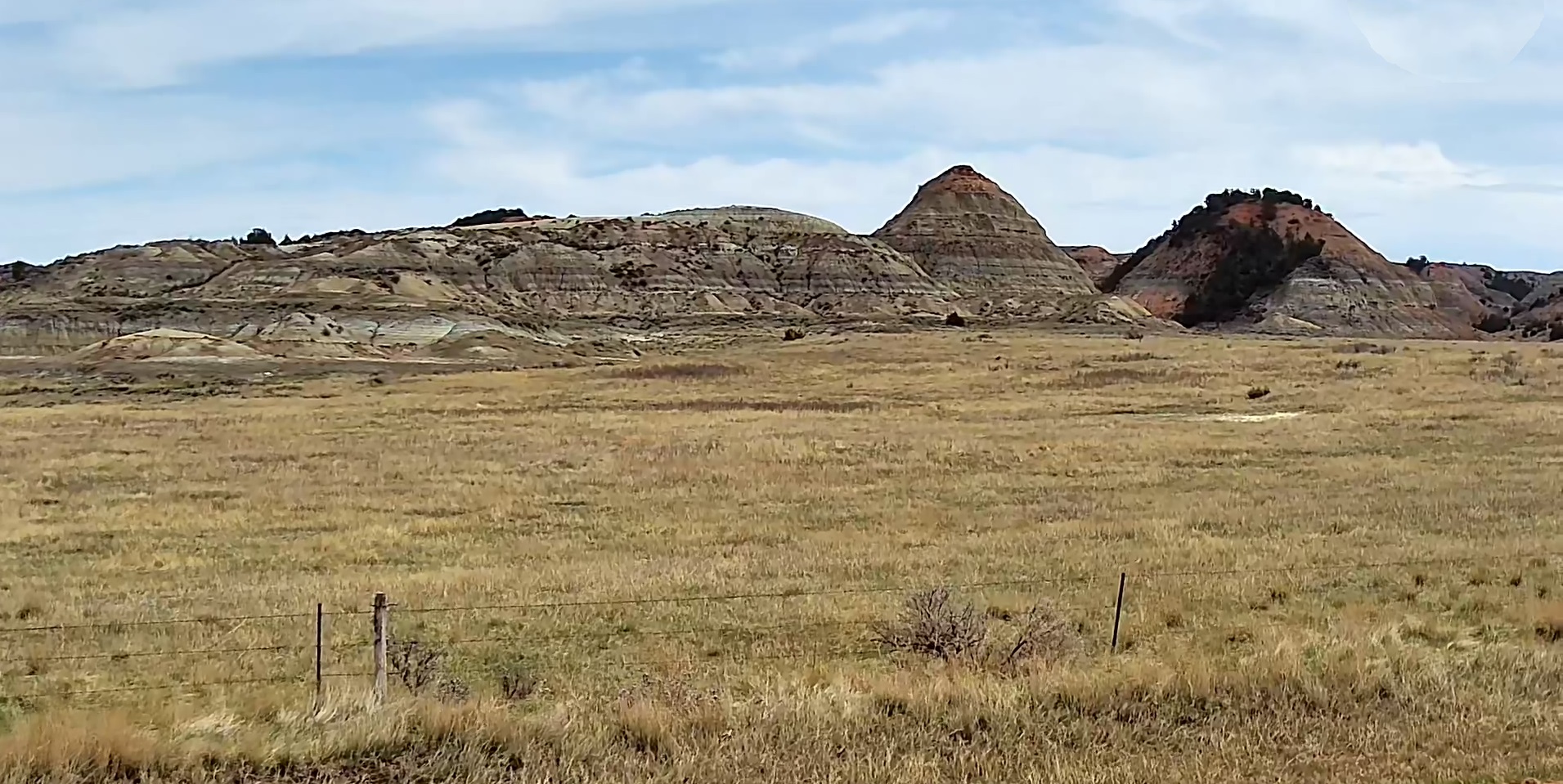 May 3, 2024 Newsletter - WDEA