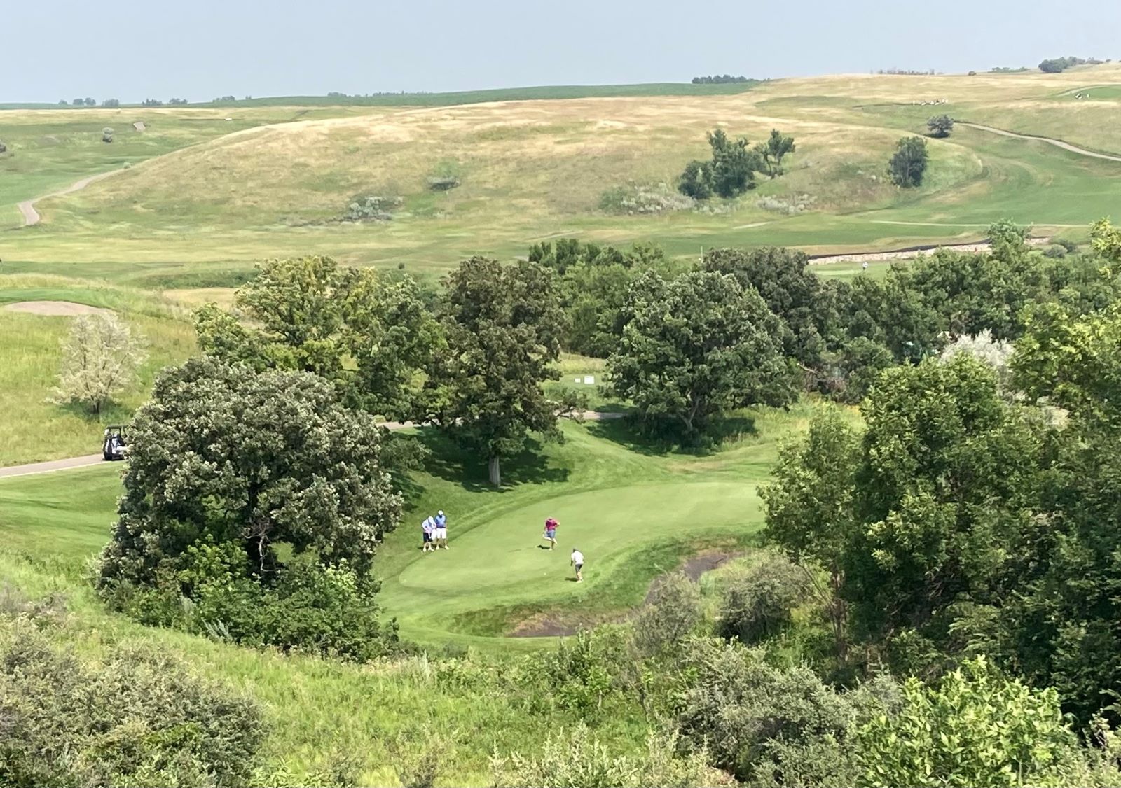 July 26, 2024 Newsletter - WDEA