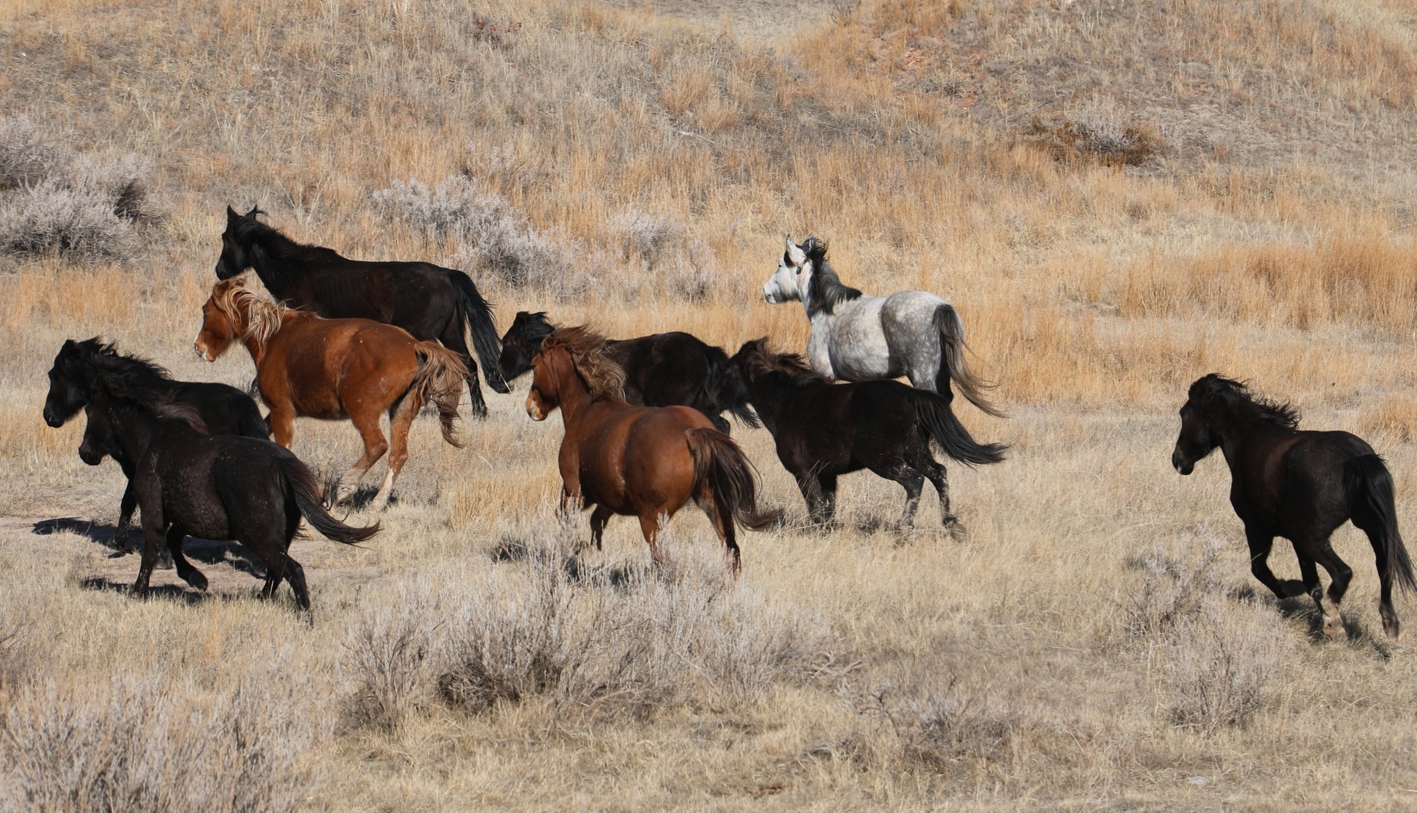 March 28, 2025 Newsletter - WDEA