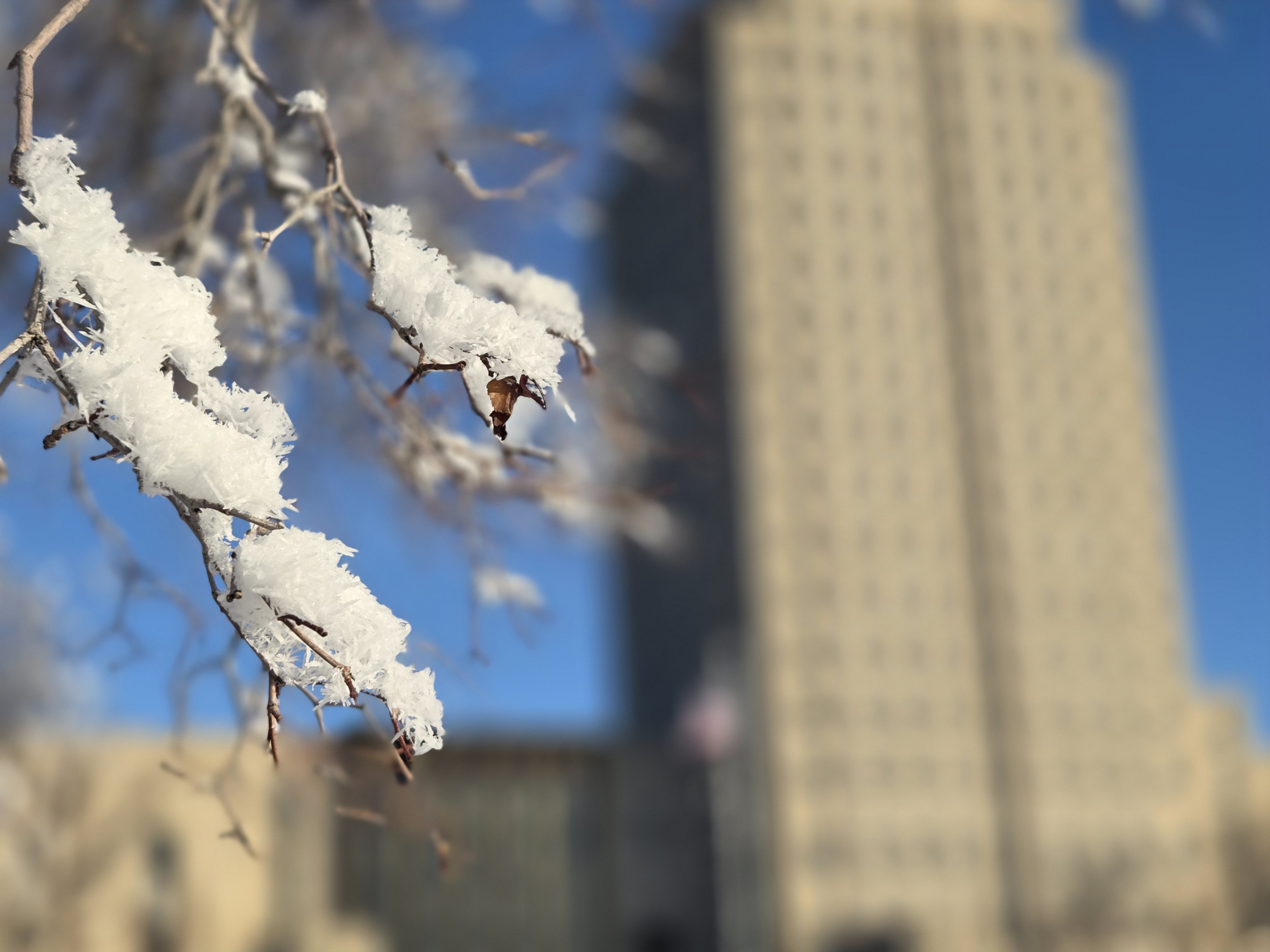 January 9, 2026 Newsletter - WDEA