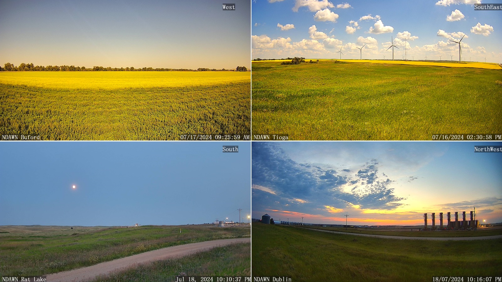 July 19, 2024 Newsletter - WDEA