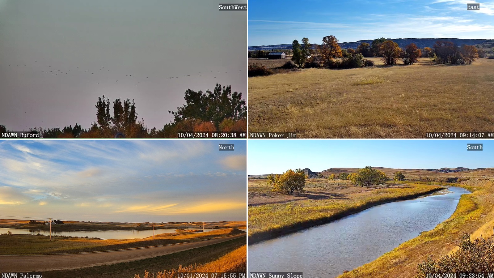 October 4, 2024 Newsletter - WDEA