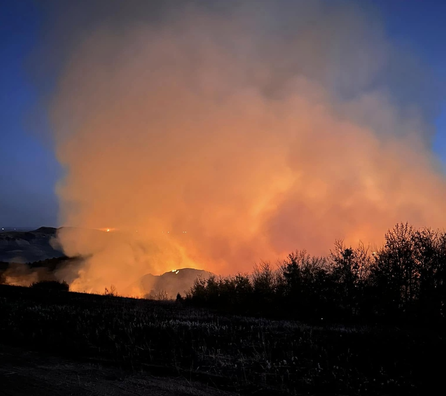 March 14, 2025 Newsletter - WDEA