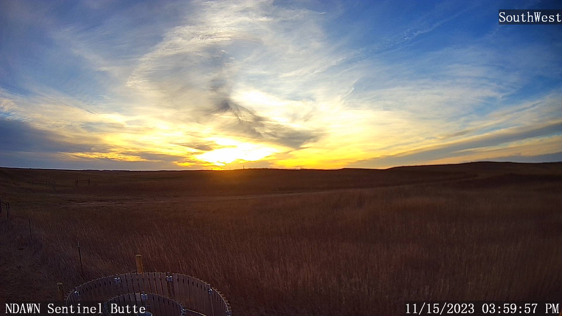 November 17, 2023 Newsletter - WDEA