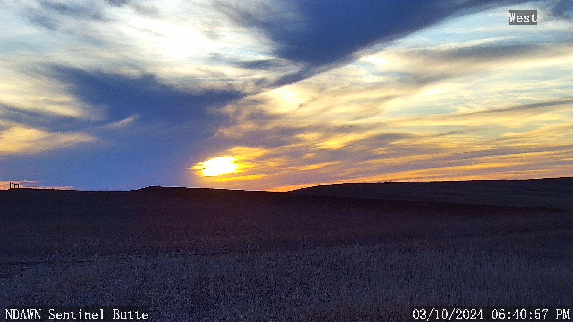 March 15, 2024 Newsletter - WDEA