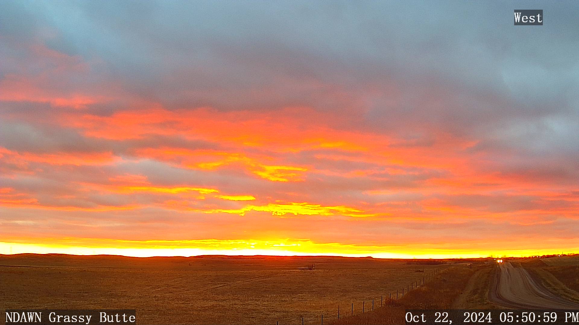 October 25, 2024 Newsletter - WDEA