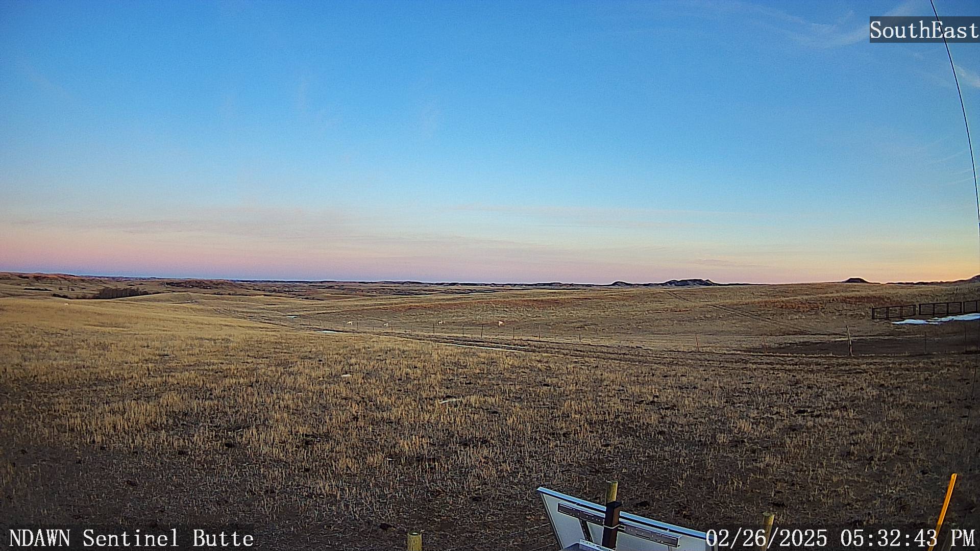 February 28, 2025 Newsletter - WDEA