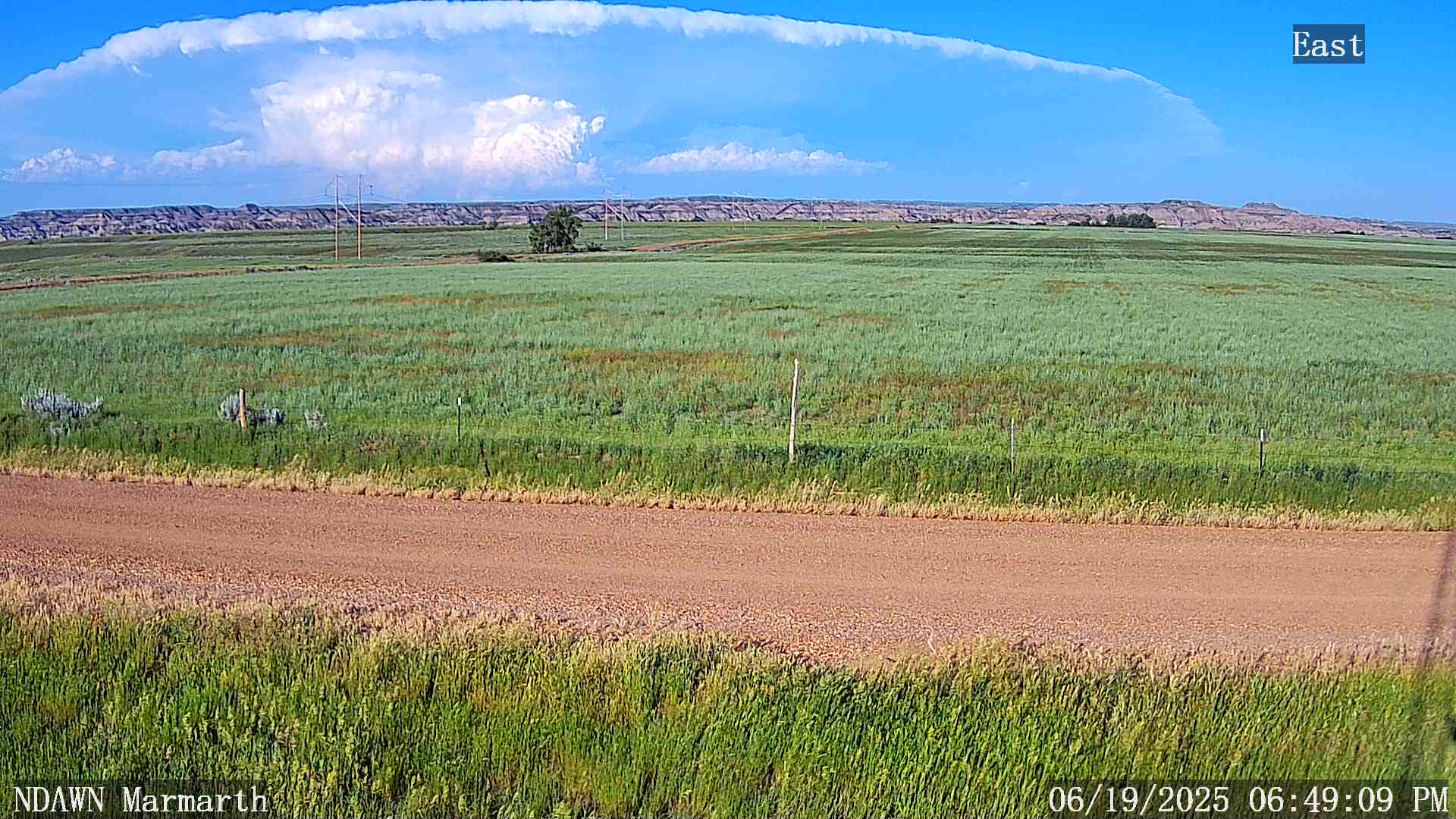 June 20, 2025 Newsletter - WDEA