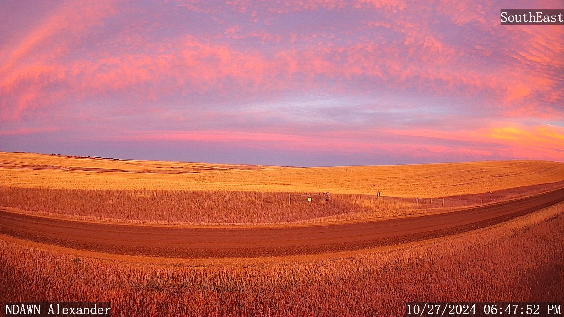 November 1, 2024 Newsletter - WDEA