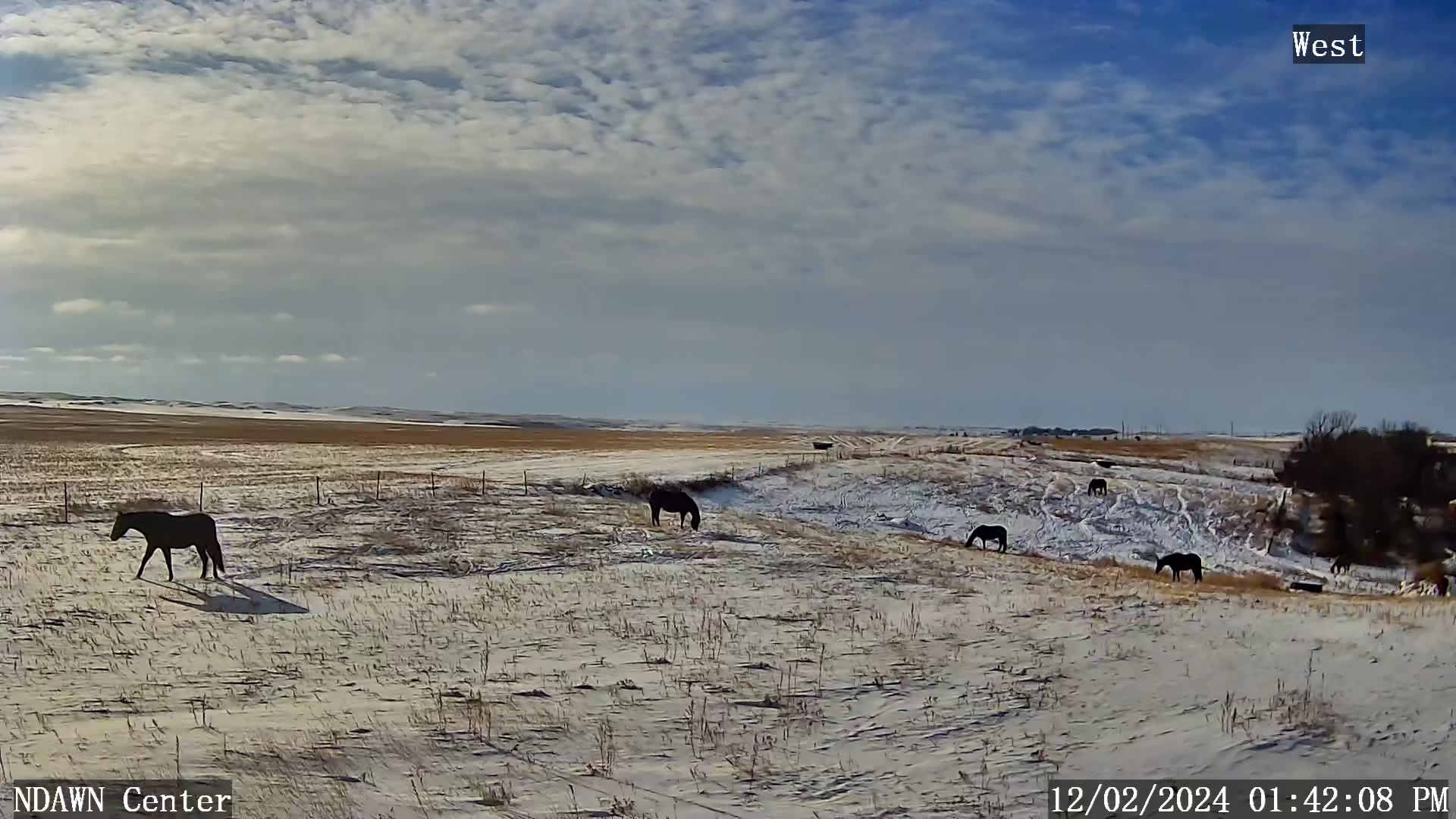 Here are the week's top North Dakota energy stories