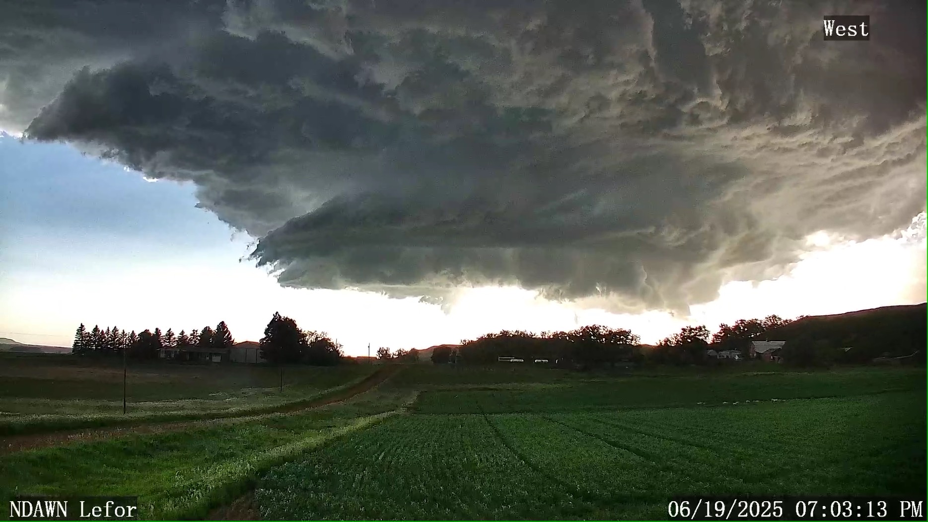 June 20, 2025 Newsletter - WDEA