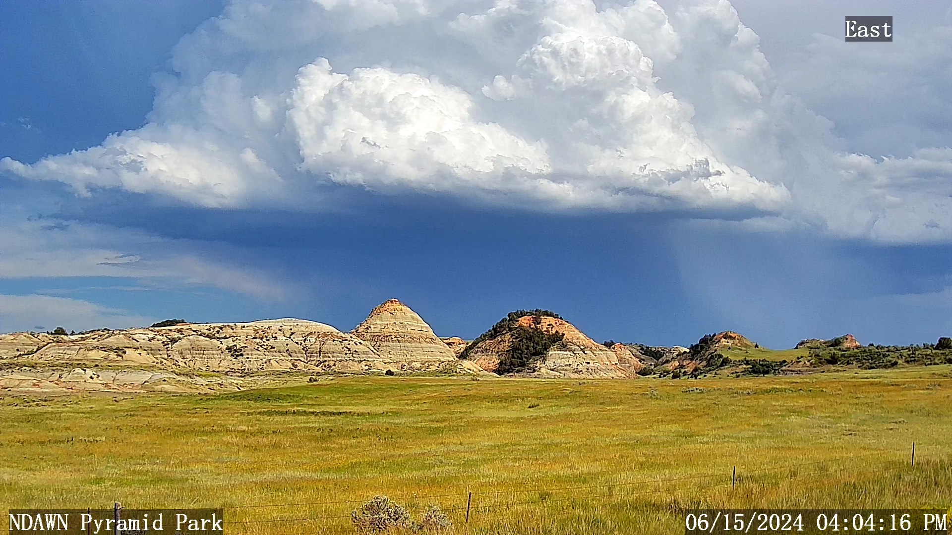 June 21, 2024 Newsletter - WDEA