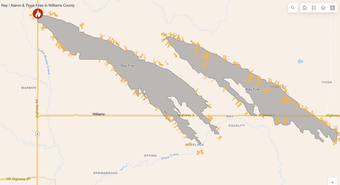 October 11, 2024 Newsletter - WDEA