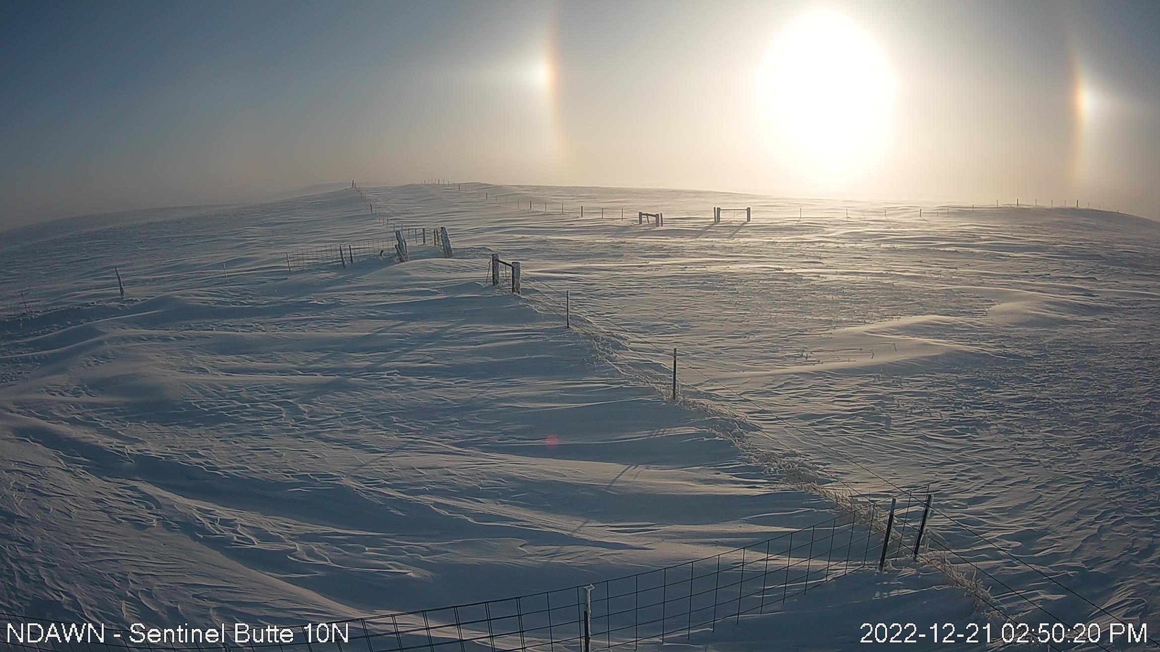 December 23, 2022 Newsletter - WDEA