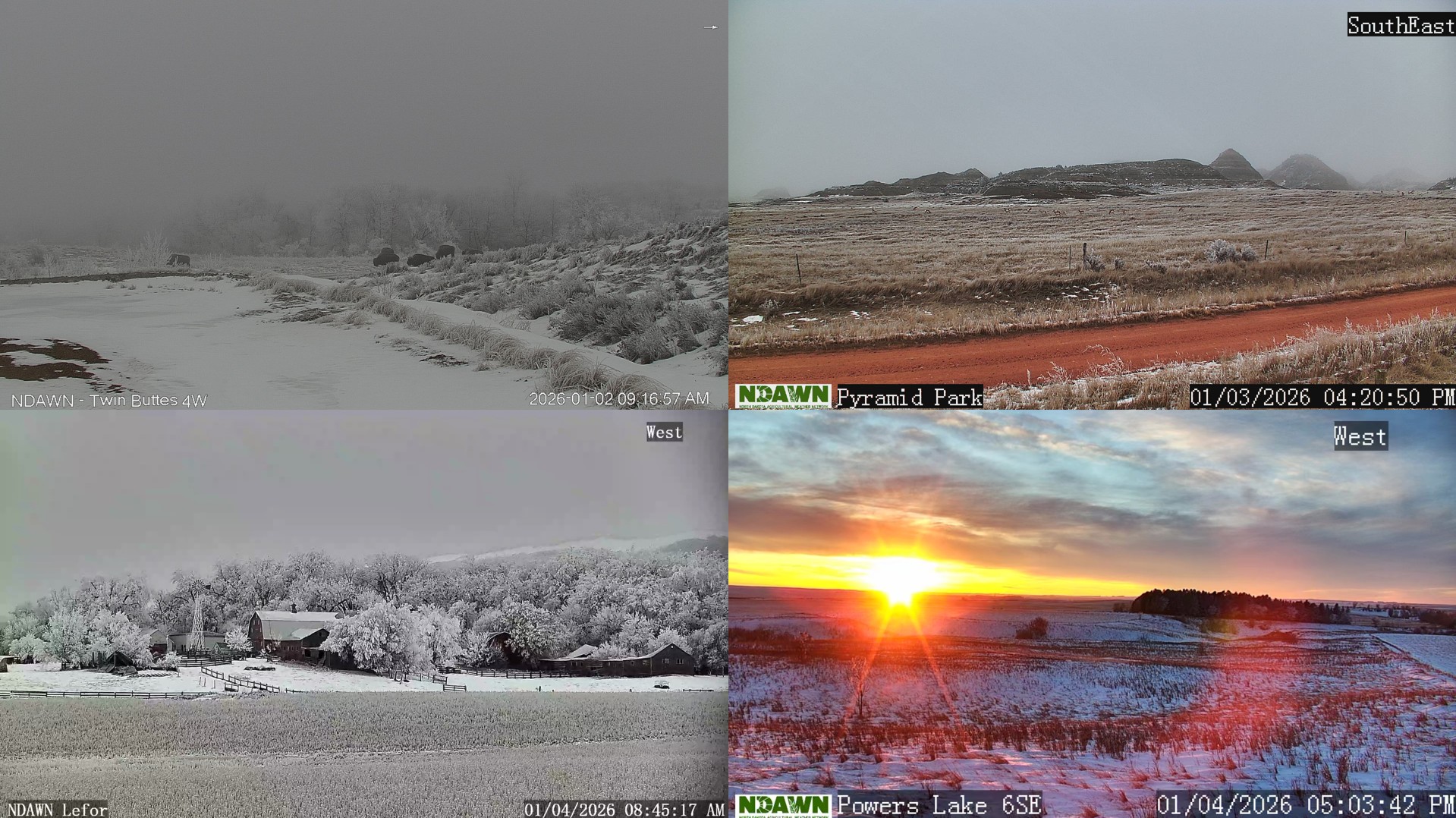 January 9, 2026 Newsletter - WDEA