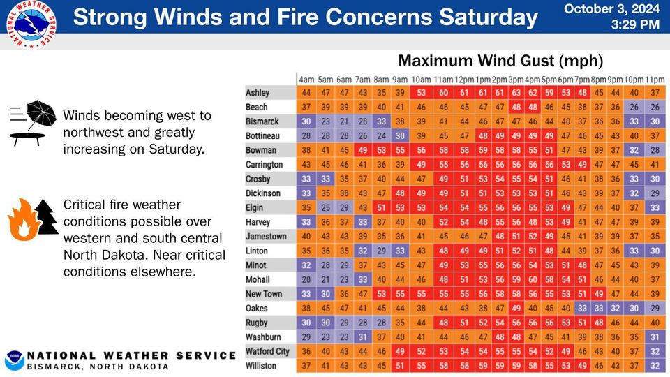 October 4, 2024 Newsletter - WDEA