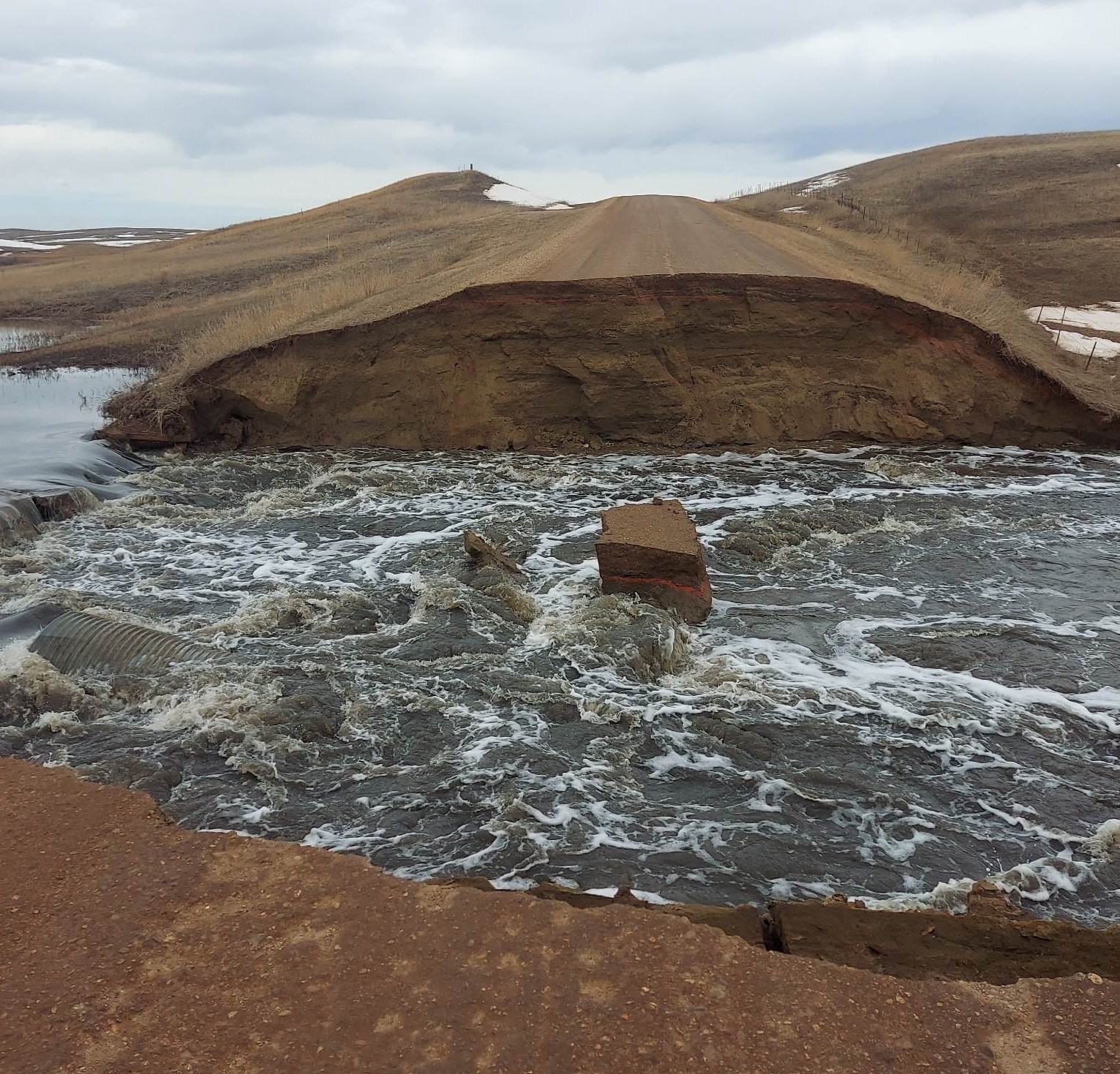 April 14, 2023 Newsletter - WDEA