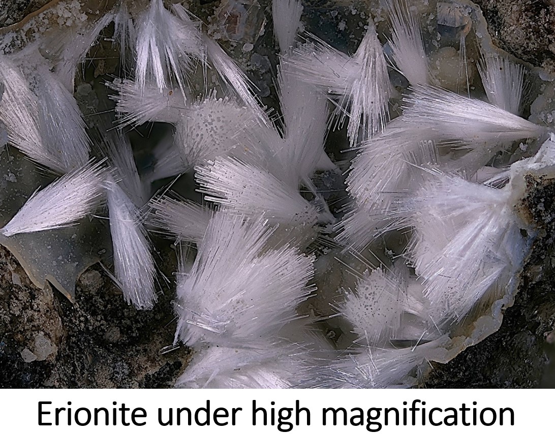 June 9, 2023 Newsletter - WDEA