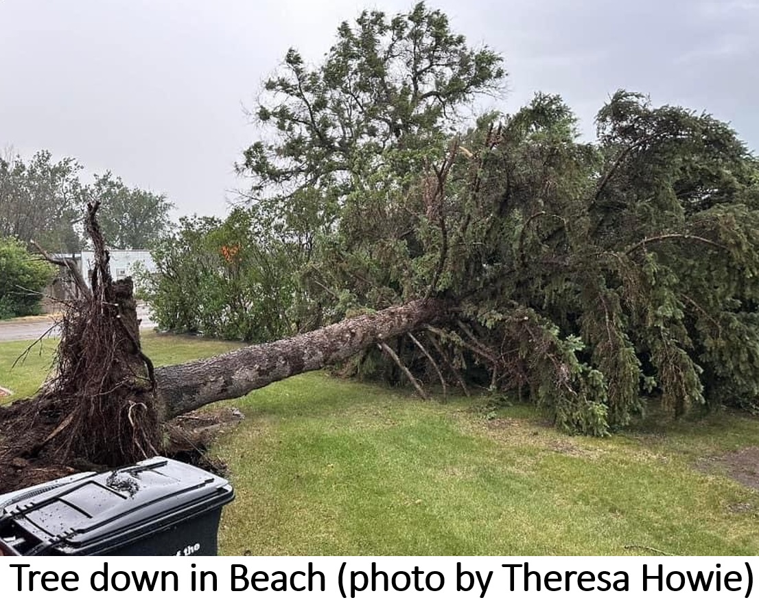 June 28, 2024 Newsletter - WDEA