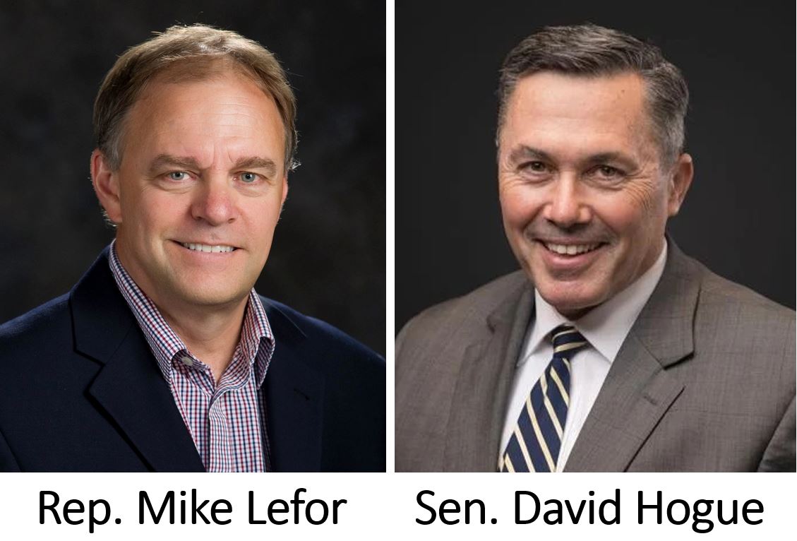 November 15, 2024 Newsletter - WDEA