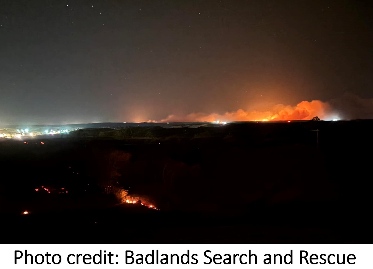 November 22, 2024 Newsletter - WDEA