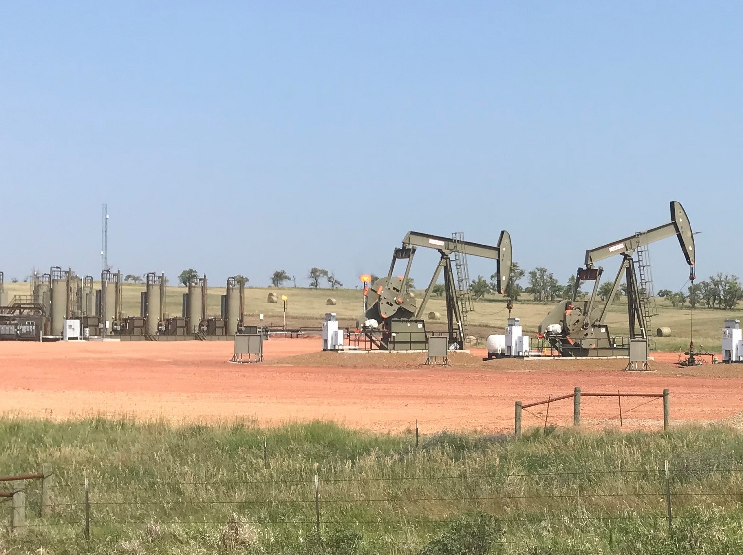 January 3, 2025 Newsletter - WDEA